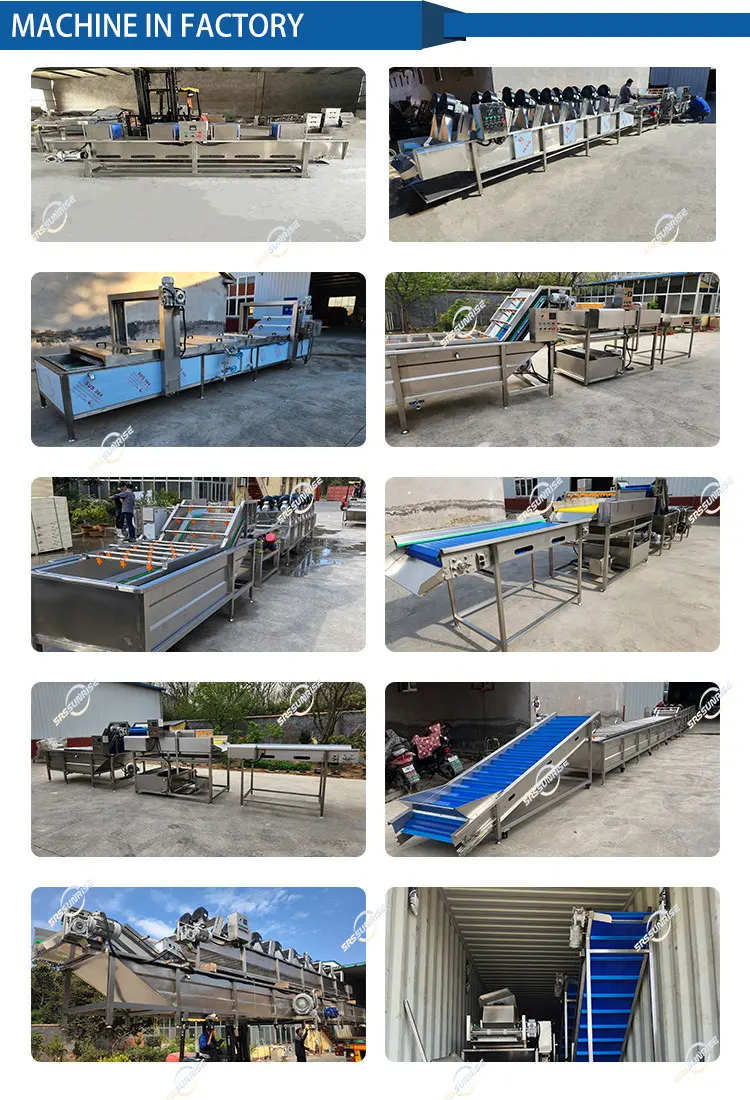 Sunrise Air Drying Machine - Efficient French Fry Processing