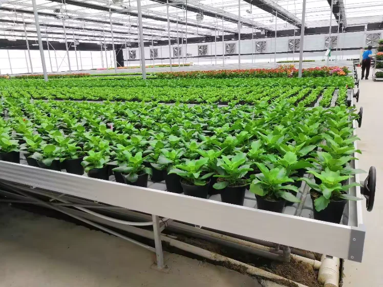 One-one Flow Rolling Bench Tables And Trays Horticultural Growing ...