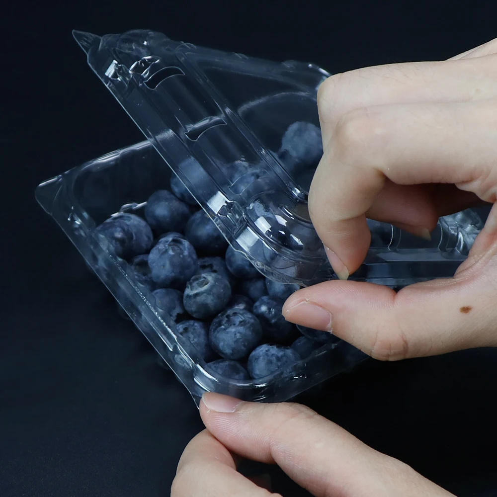 Transparent Plastic Fruit Packaging Boxes - Eco-friendly