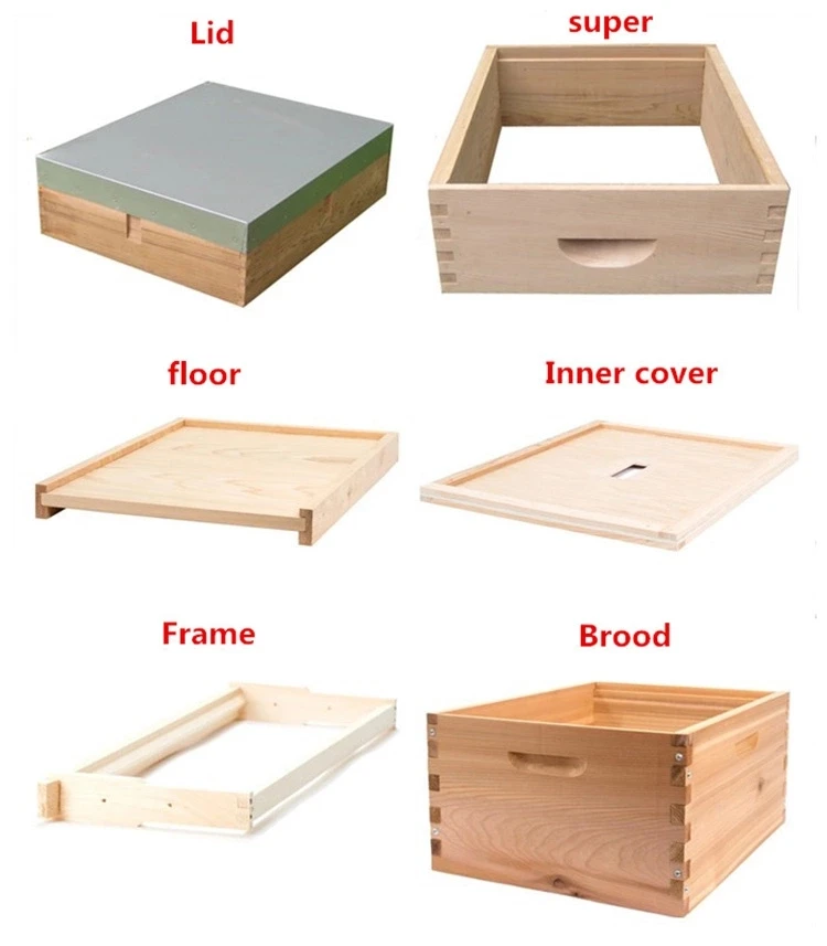 Langstroth Beehive - 10 Frame Beekeeping Box with Covers