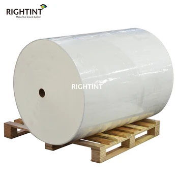 75mic Removable Label Pp Synthetic Paper Label Roll Adhesive Jumbo Roll ...