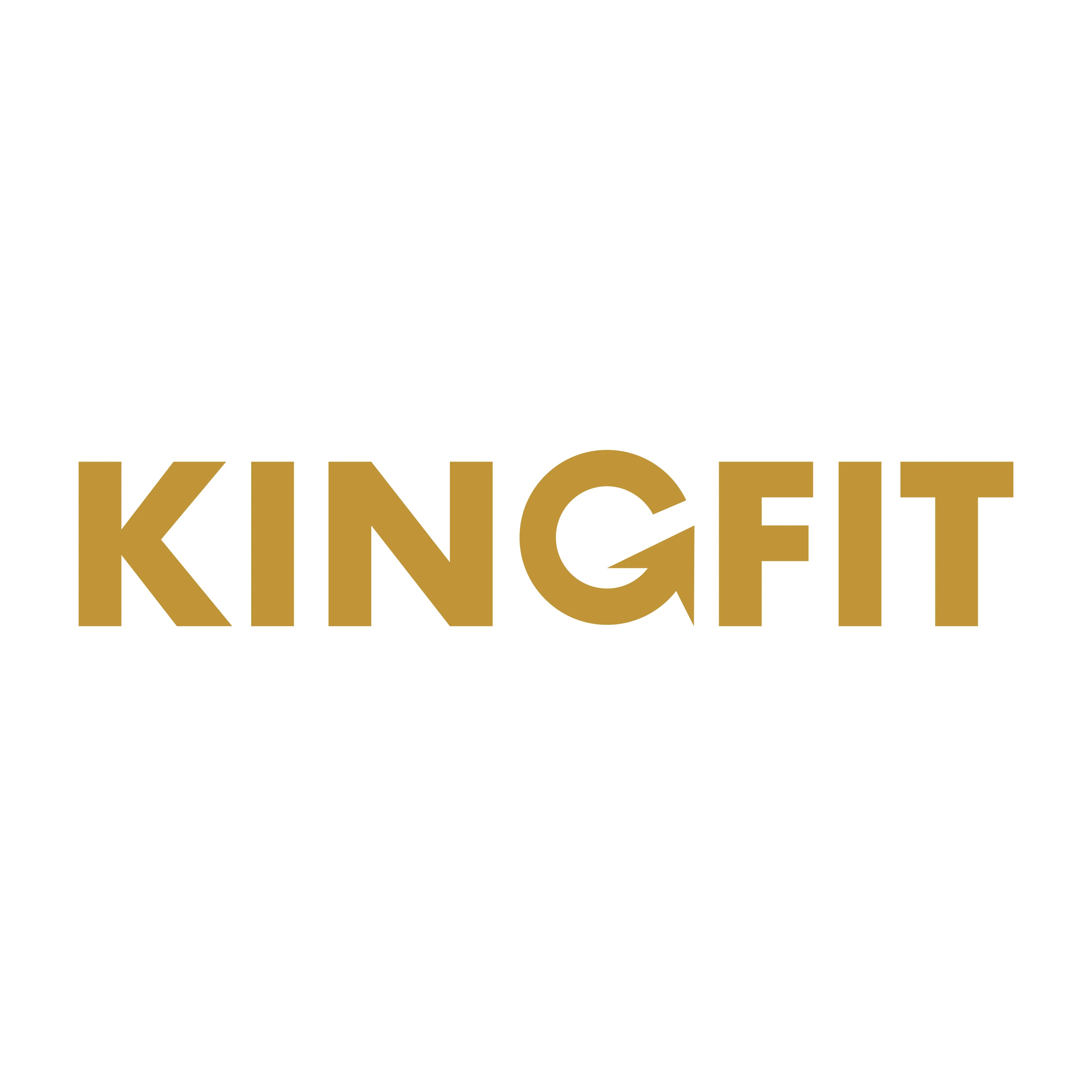 Company Overview - Chongqing King Fit Technology Co., Ltd.