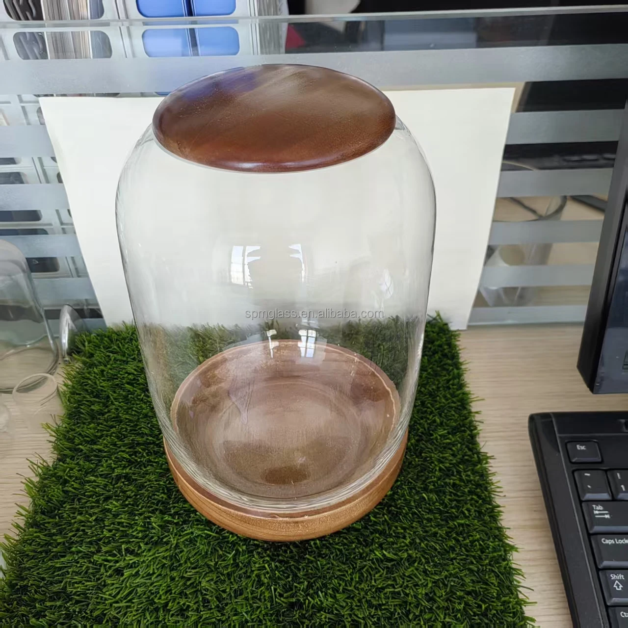 Modern Hydroponic Desktop Indoor Terrarium Glass Vase With Natural Wood ...