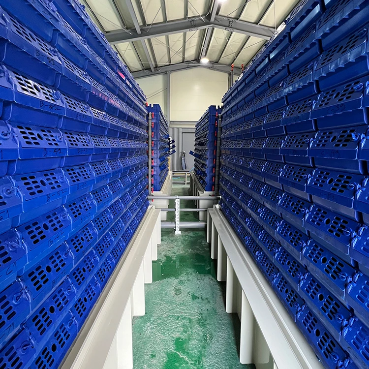 Plastic Crab Farming Boxes - Efficient Aquaculture Solutions