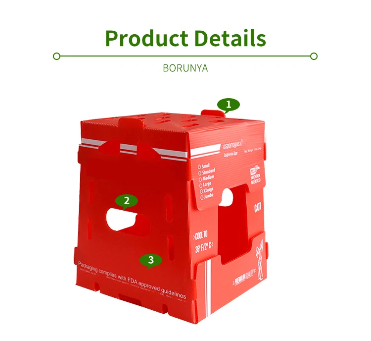 Top Quality Supplier Fruit Plastic Packaging Box - Buy Vegetable And ...