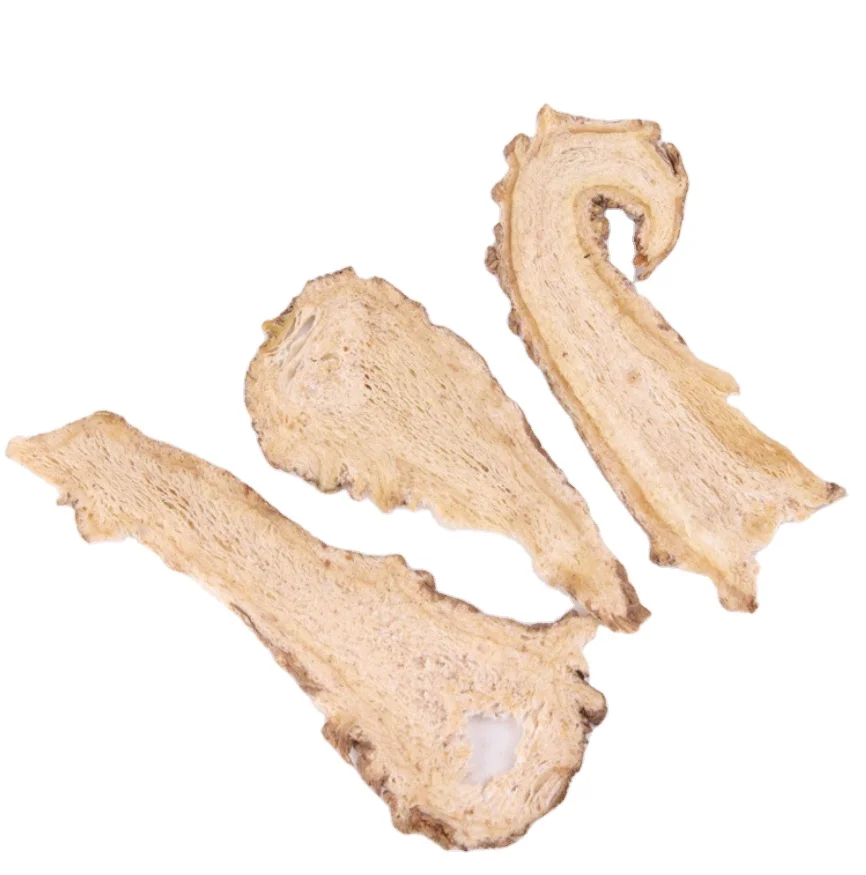 Sliced raw Danggui roots Radix Angelicae Sinensis use as chinese herb ...