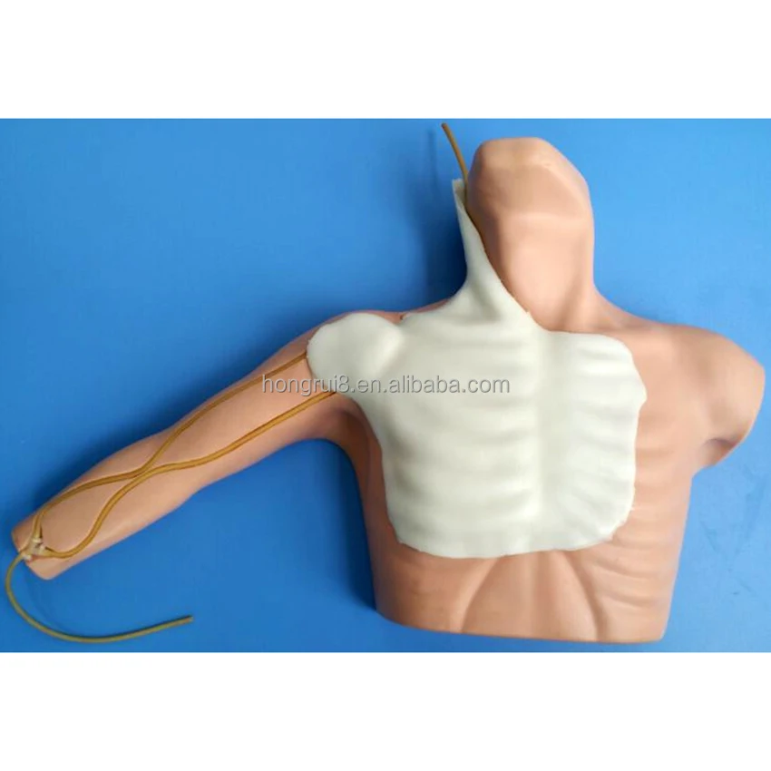 PICC Simulator - Realistic Central Venipuncture Training