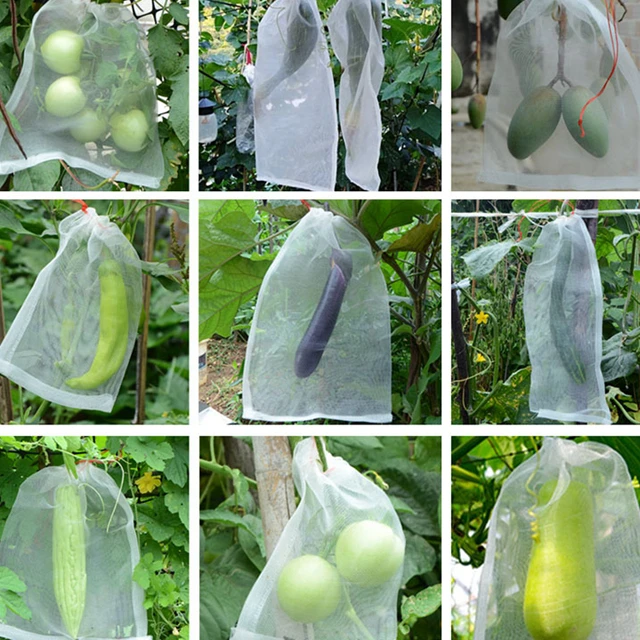 Wholesale Fruit Protection Growing Bags Guava Protection Plastic Bag ...