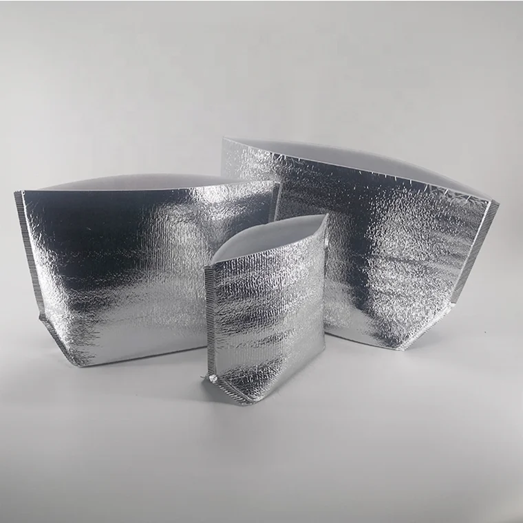 Disposable Food Storage Cooler Bags - Insulated & Customizable