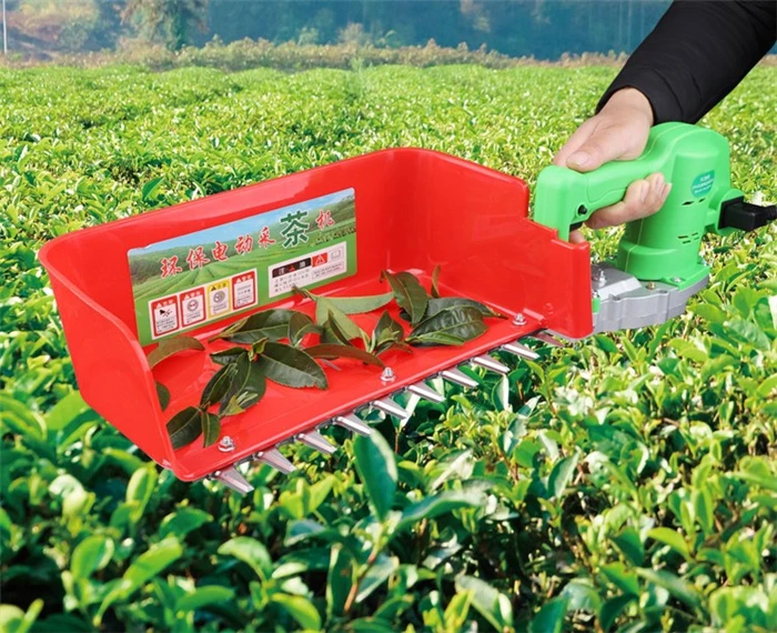 ACME Portable Type Tea Picking Harvester Machine Tea Leaf Plucking ...