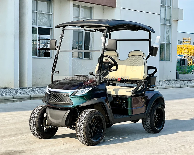 NL-WG2 2-seater Electric Golf Cart with Bump Custom Body Color Seat ...