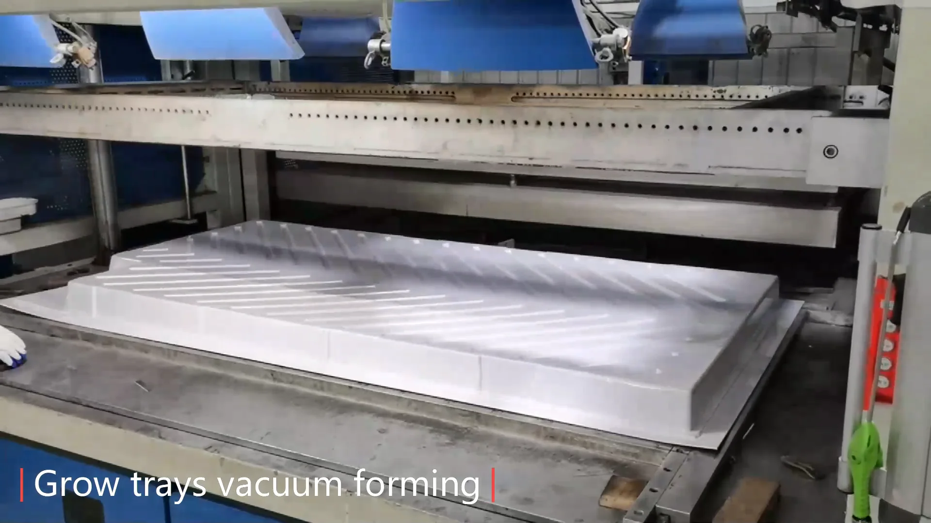 White Black 2x4 3x3 3x6 4x4 4x6 4x8 Plastic Microgreen Vegetables ...