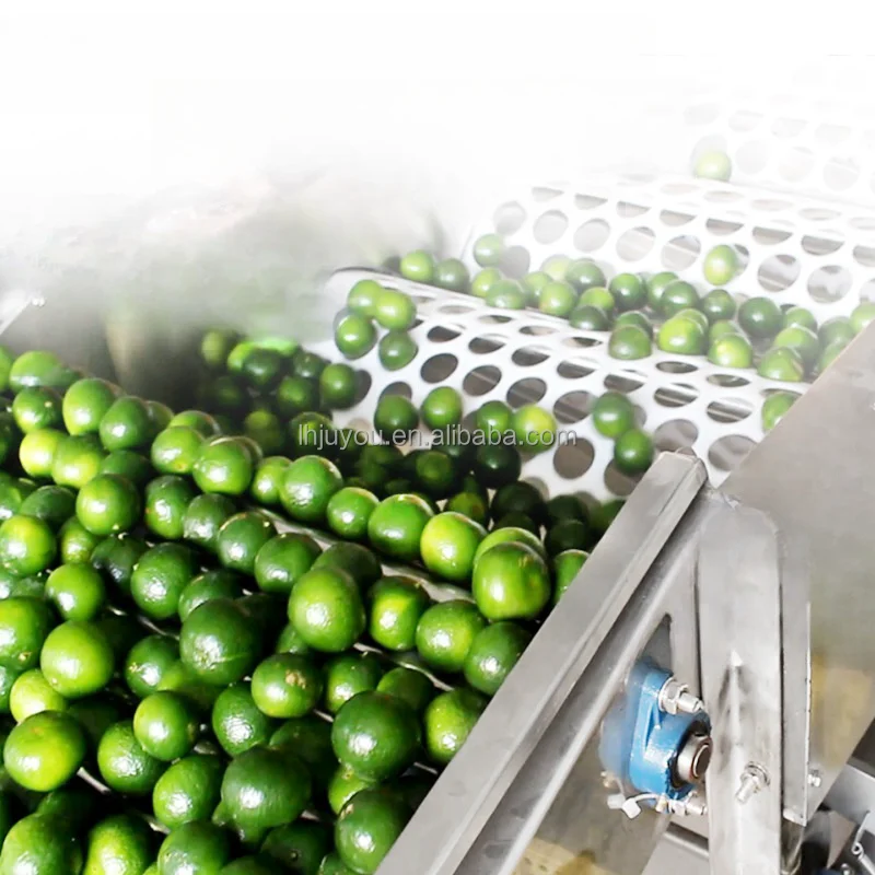 Fruit and Vegetable Sorting & Grading Machine - High Efficiency