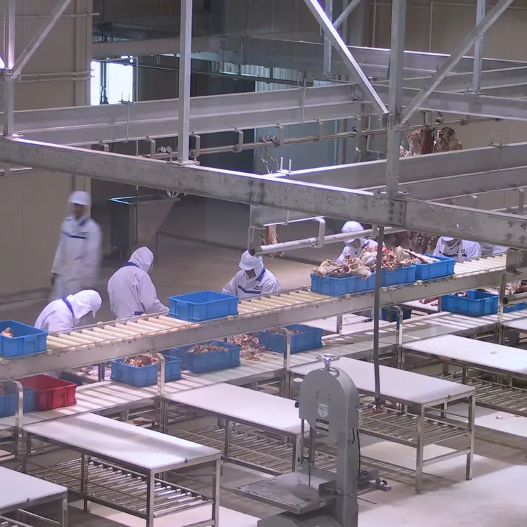 Kosher Cattle Slaughter Line - Halal Cattle Slaughtering Equipment