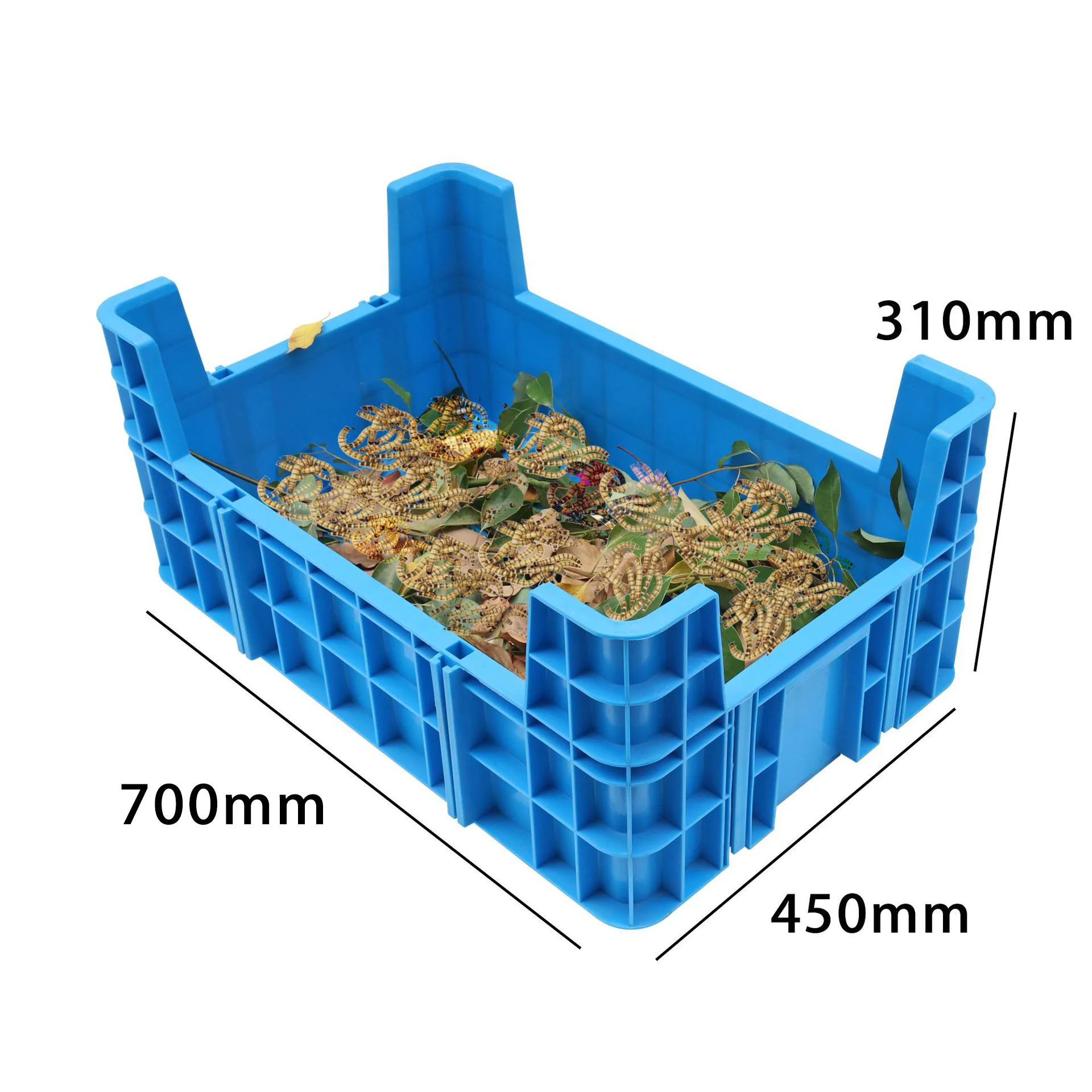 600x400x145mm Stackable Plastic Insect Breeding Tray - OEM Available