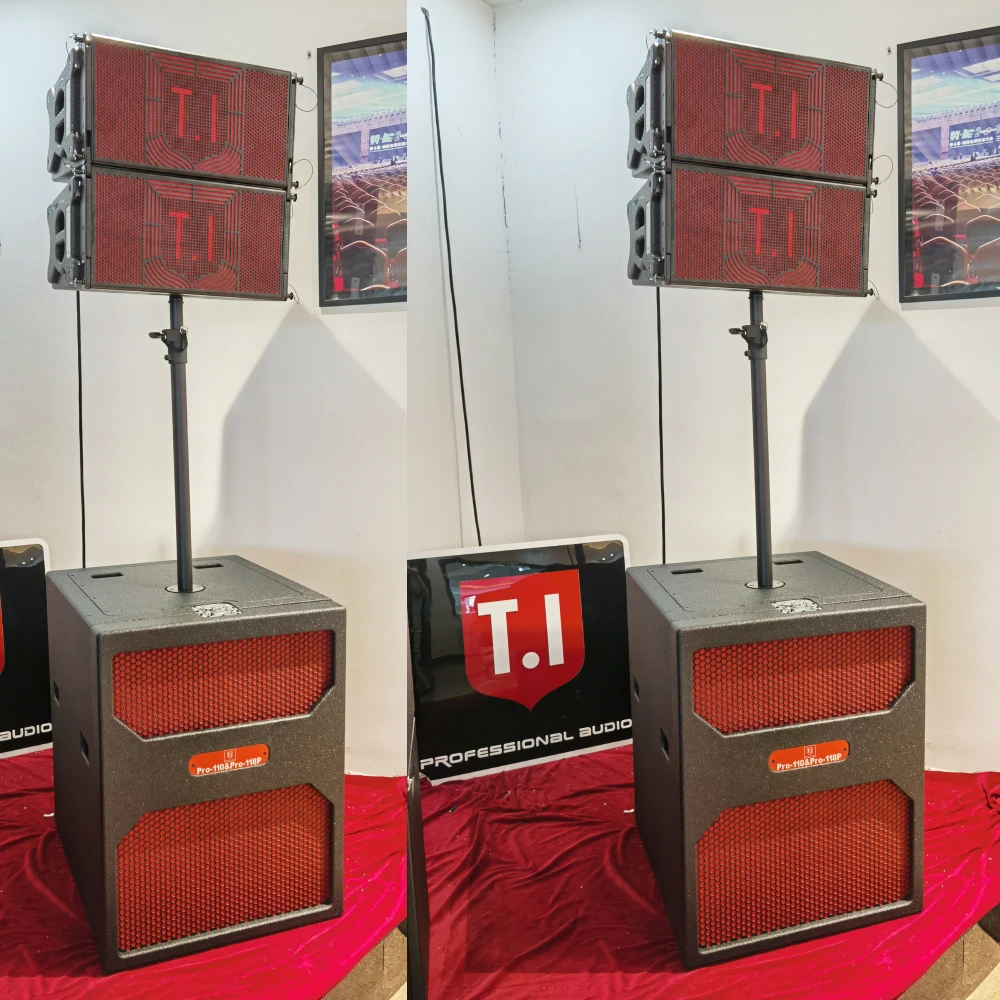 Pro110 Professional Audio Sound Speaker - 10 Inch Line Array