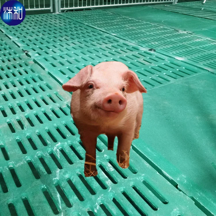 European Style Pig Concrete Slatted Floor Mould for Cleanliness