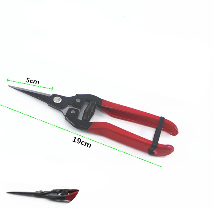 Professional Sharp Snip Trimming Tool for Gardening Plant Flower Grape ...