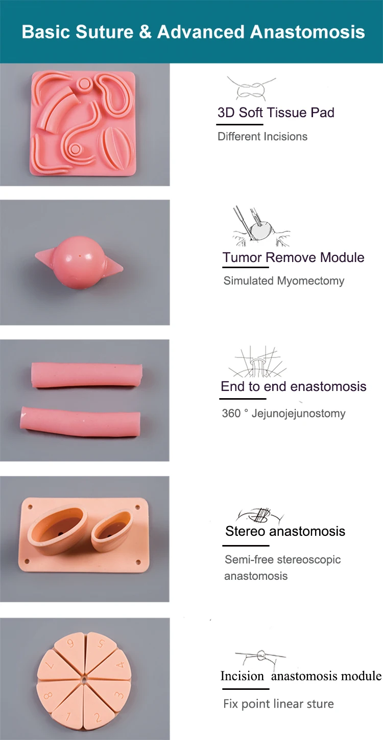 Laparoscopic Simulator /trainer Box,Laparoscopic Training Box ...