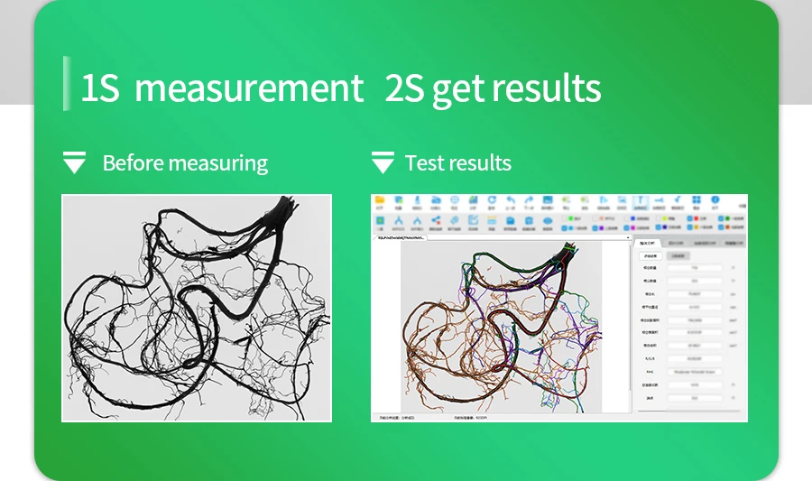 Root Analyzer - Precision Measurement for Plant Science