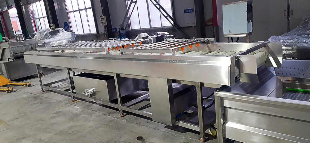 Complete 500kgs Mango Pulp Washing Sorting Machine Pineapple Peeling ...