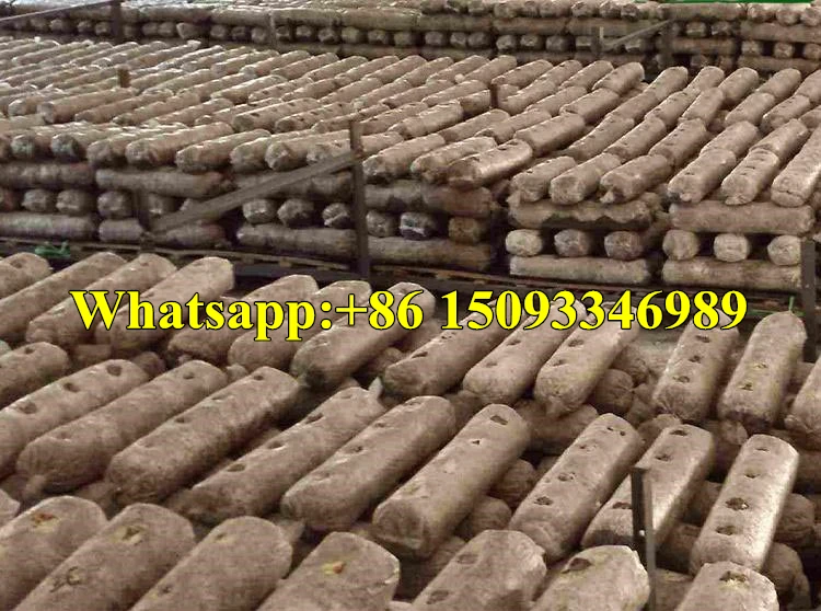 High Capacity Mushroom Inoculating Machine - JOCONN