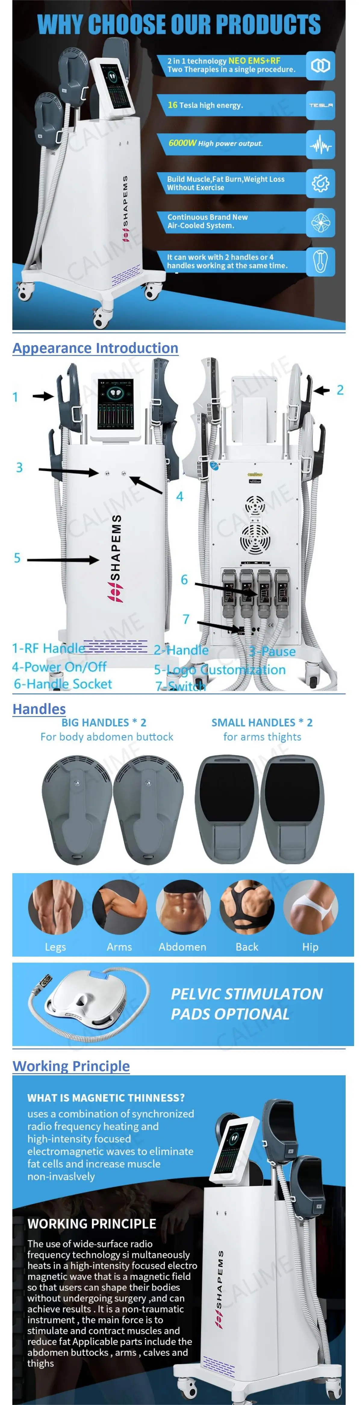 Professional Ems Body Slim Machine Muscle Stimulator Build Fat Burn ...