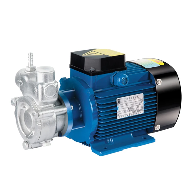 0.55KW Dissolved Air Flotation Pump - Efficient Bubble Generation