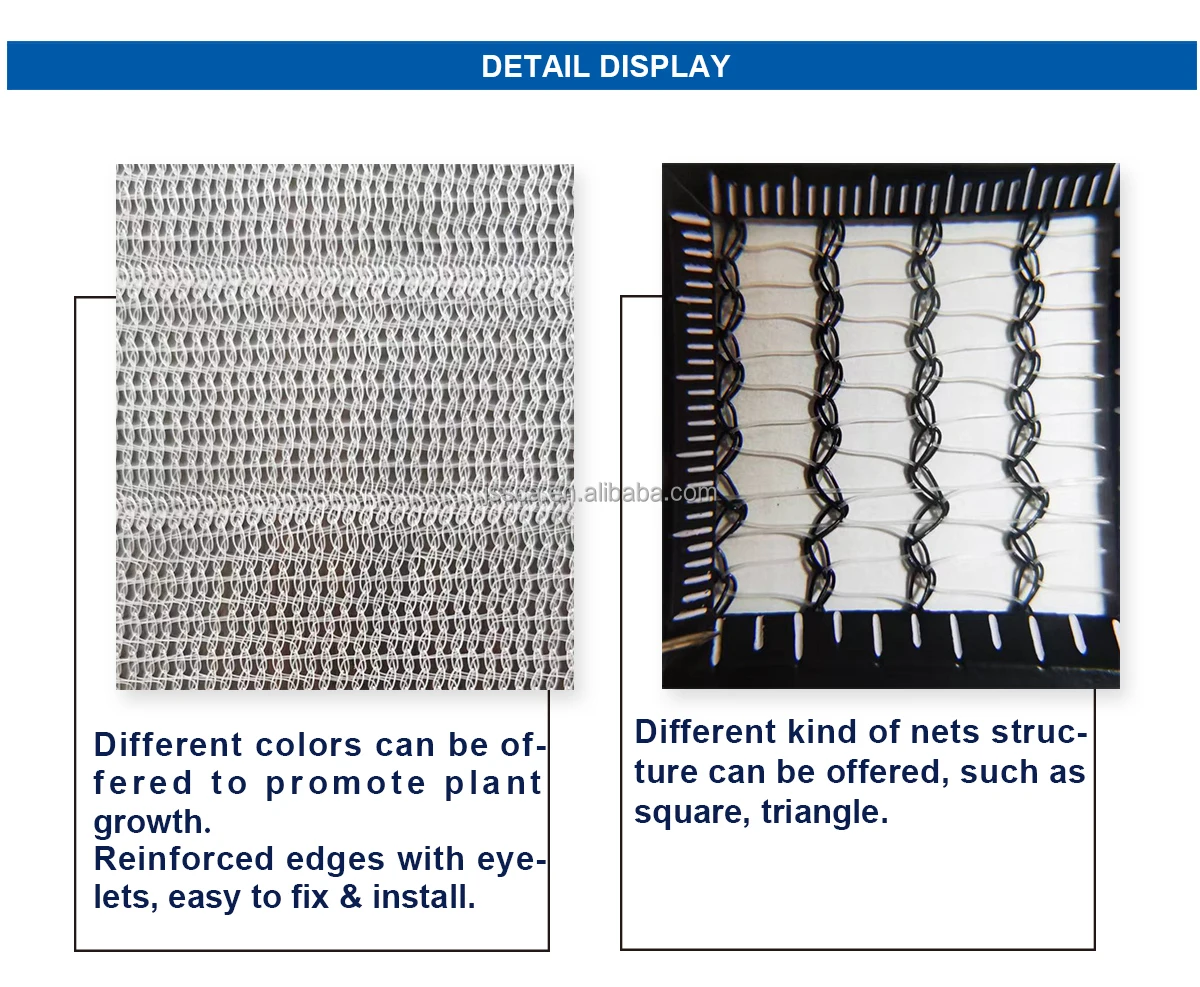 Sale Plastic Mesh Green Agricultural Wind Break Netting With Top ...