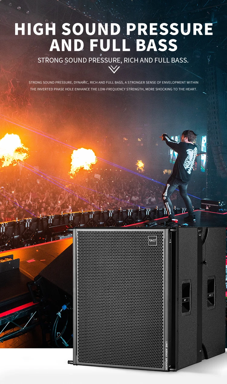 12 Inch Powerful Concert Line Array Professional Audio Line Array ...