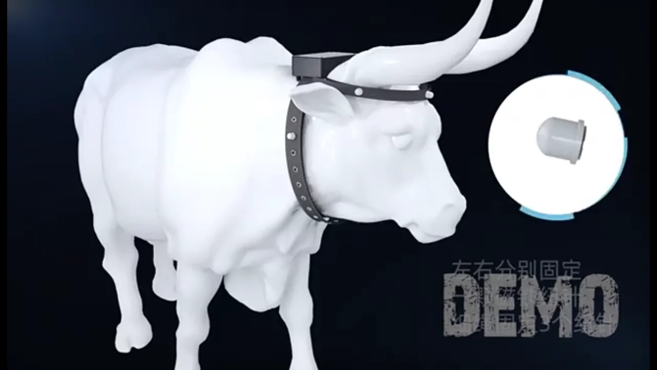 And Sheep Gps Solar 4g Cow Gps Trackers For Cows 2024 Latest Technology ...