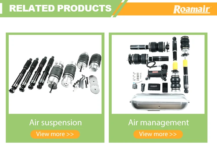 Custom Universal Air Suspension Kit Airbag for HONDA Roam