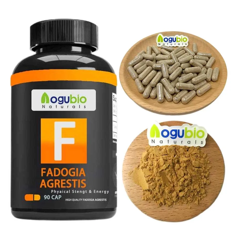 Herbal Supplement 500mg Fadogia Agrestis Capsules - Buy Fadogia ...