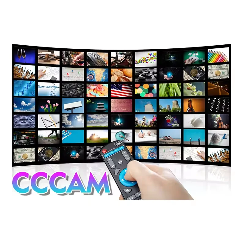 2023 Icam Cccam 7 Lines Europe Canal+ Poland Tvp 4k Cccam Egygold 1 Year Oscam For Poland ...