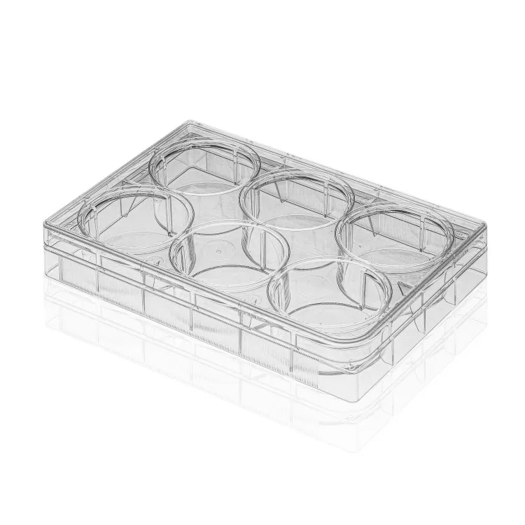 Cotaus Laboratory Disposable Plastic Lab V U Bottom 96 Well Cell ...