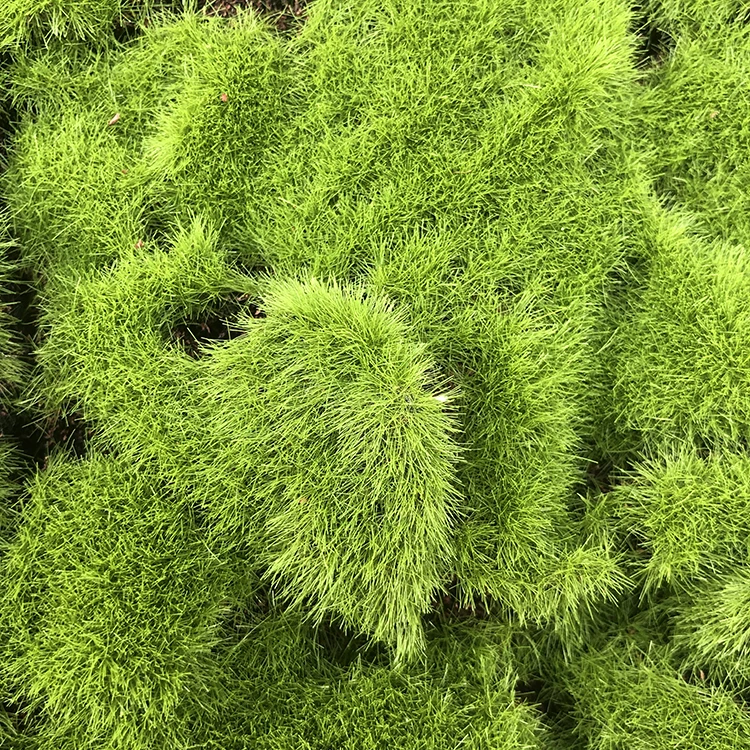 K-0500 Home Hotel Wall Decoration Faux Moss Grass Mat Indoor Green Moss ...