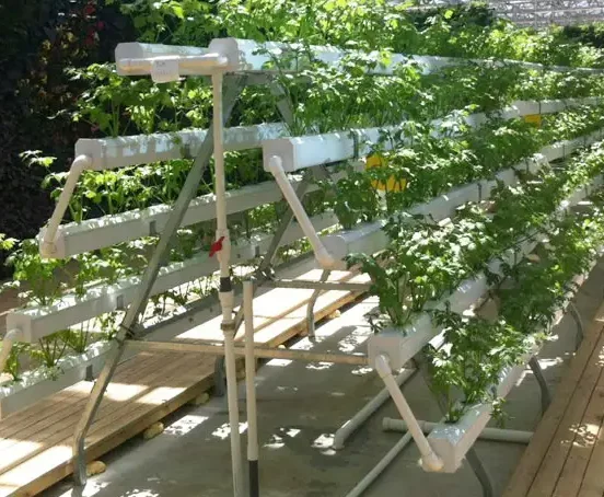 XPS Floating Raft for DWC Hydroponic System - Efficient Vegetable ...