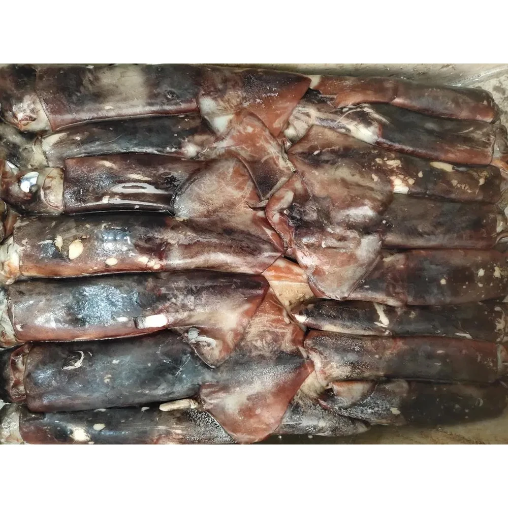 Frozen whole squid frozen squidee squid-peru frozen squid price ...