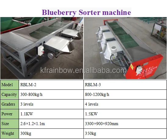 Blueberry Sorting and Grading Machine - Efficient & Sustainable