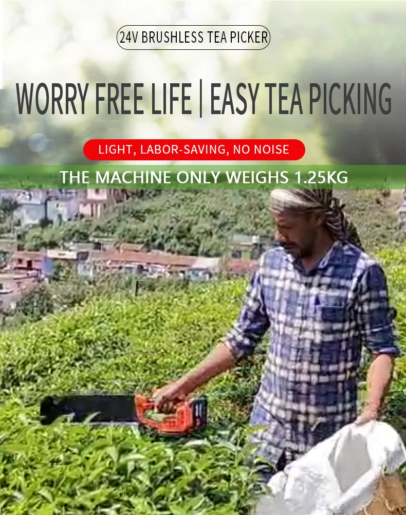 Six Speed Variable Speed Tea Picker With Chrome Plated Blades For ...