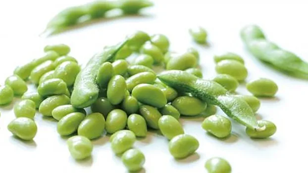 Bulk Cooking Soybeans Frozen Edamame Shelled In Pods Iqf Freezing ...