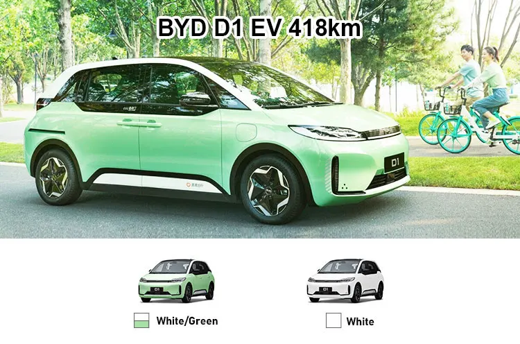 In Stock Byd D1 High Speed Luxury Vehicle Ev High Quality 2022 2021 ...
