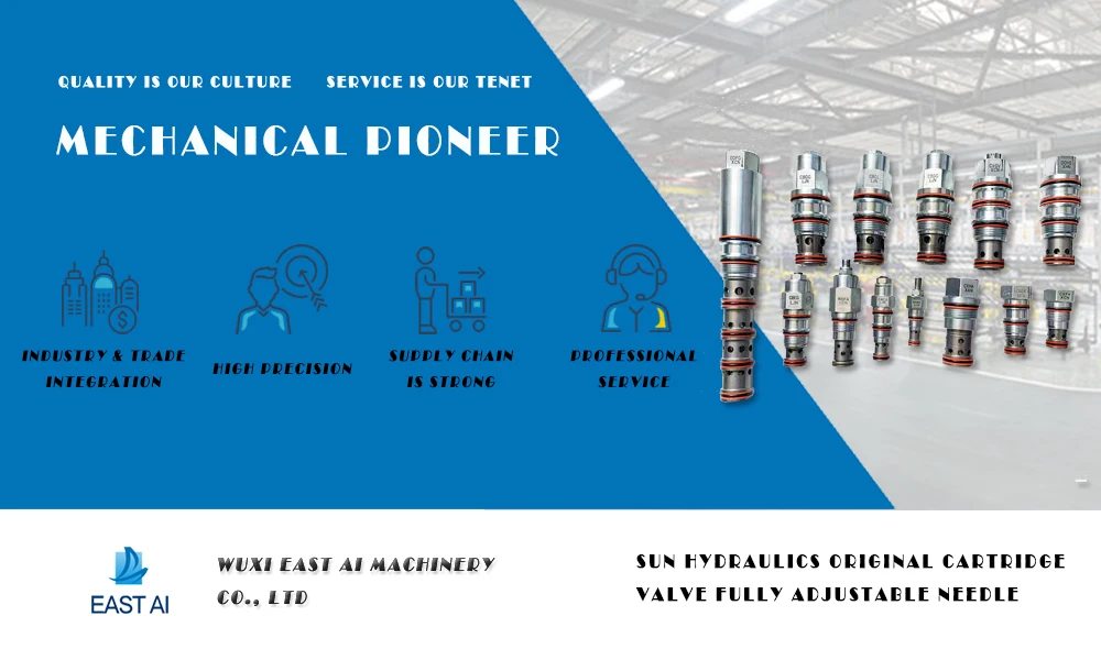 Original Sun Hydraulic Cartridge Valves Rvea-lcn Rvga-lwn Rvca-lan Rvia-lhn Rvba Lhn Hydraulic ...