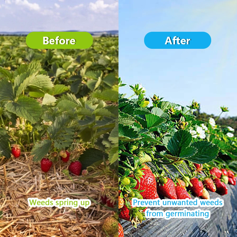 Eco Friendly Black/silver PE Plastic Mulch Film for Agriculture