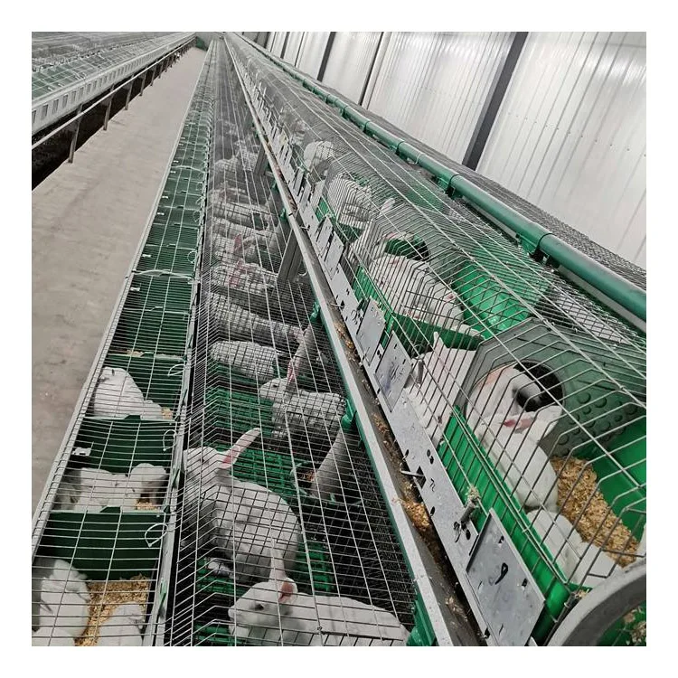 Efficient Rabbit Cages from Chinese Factory - Durable & Convenient
