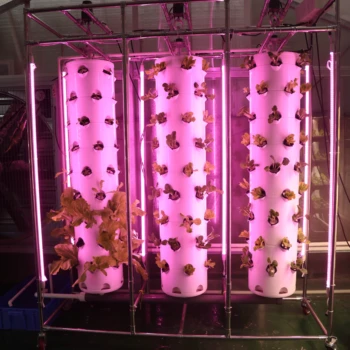 Hydroponic Tower Garden Systems: Aeroponic and Vertical Farming Solutions