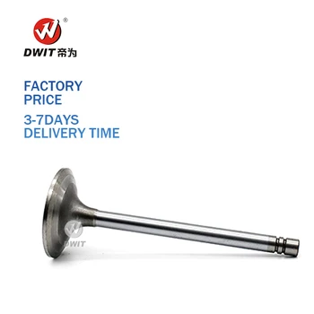 3306 Engine Intake And Exhaust Valve 6n9915 Engine Valve For ...