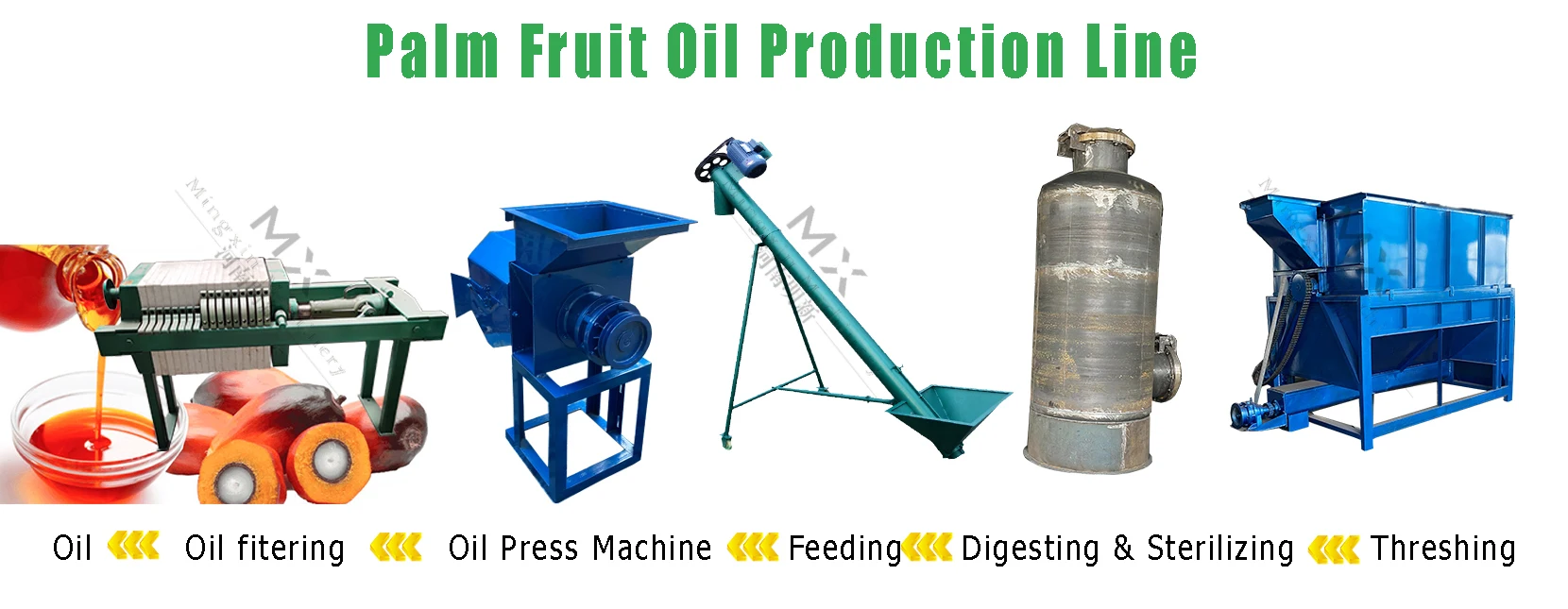 Palm Fruit Oil Press Line - Efficient Oil Extraction