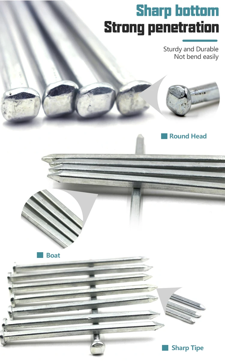 Hot Dipped Galvanized Square Boat Nails - Durable & Versatile