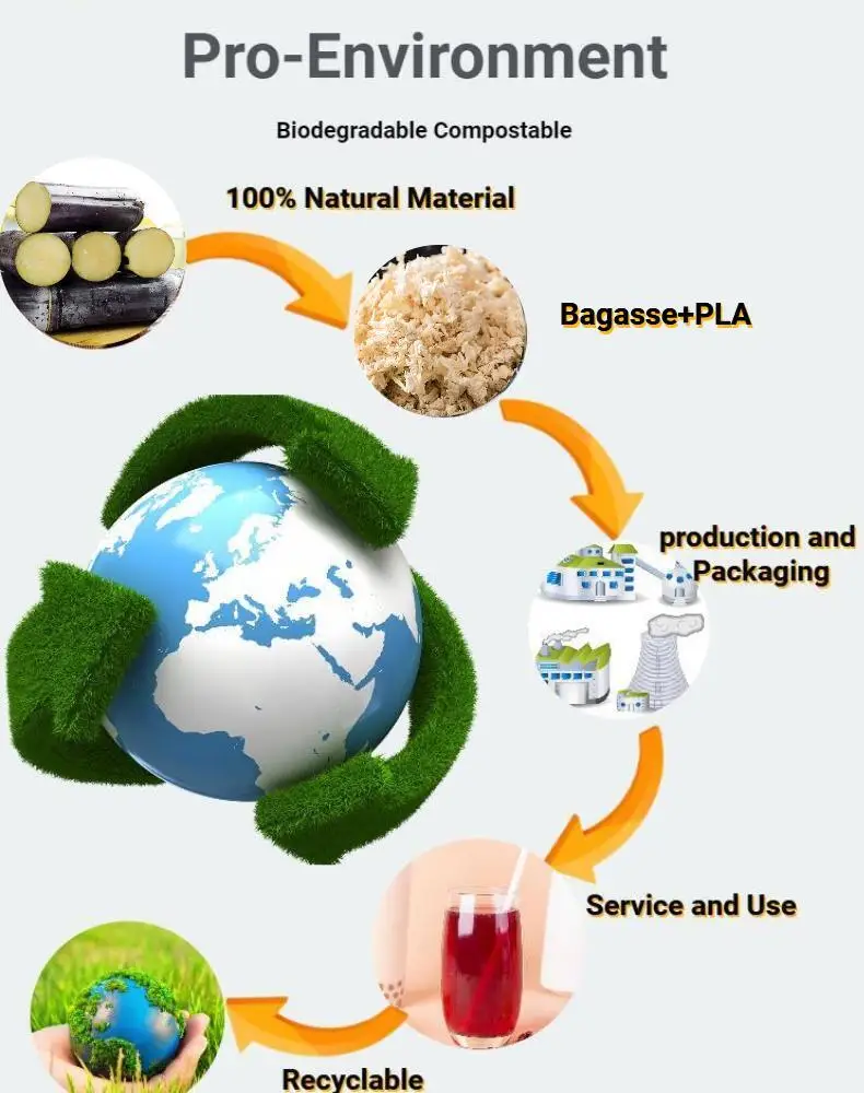 Factory Supply Individual Wrapped Sugarcane Bagasse Drinking Straw ...